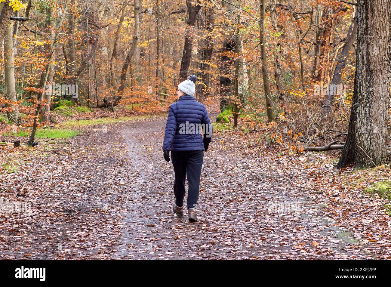 Farnham Common, Buckinghamshire, UK. 28th November, 2022. It was a ...
