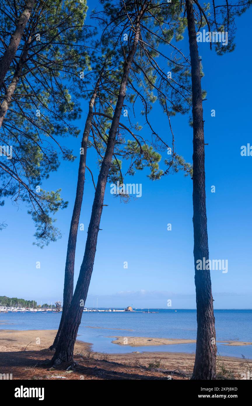 The landscape of the lac de Biscarosse (lake) near the harbour Port de ...