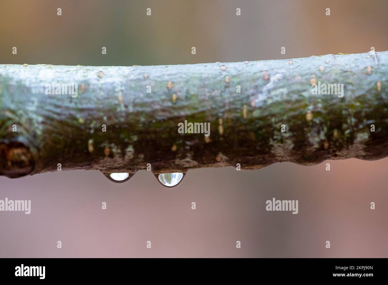 Farnham Common, Buckinghamshire, UK. 28th November, 2022. It was a ...