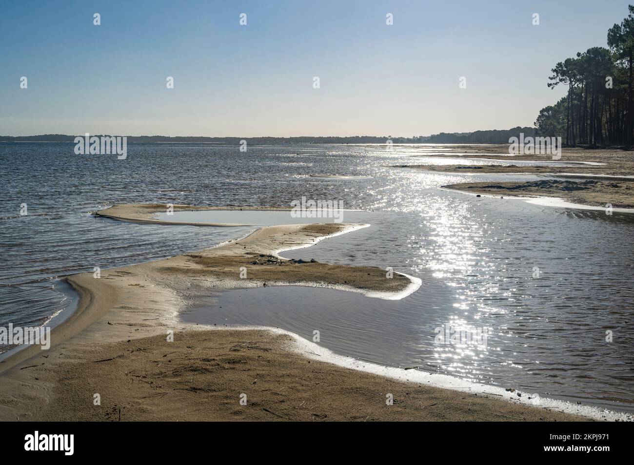 The landscape of the lac de Biscarosse (lake) near the harbour Port de ...