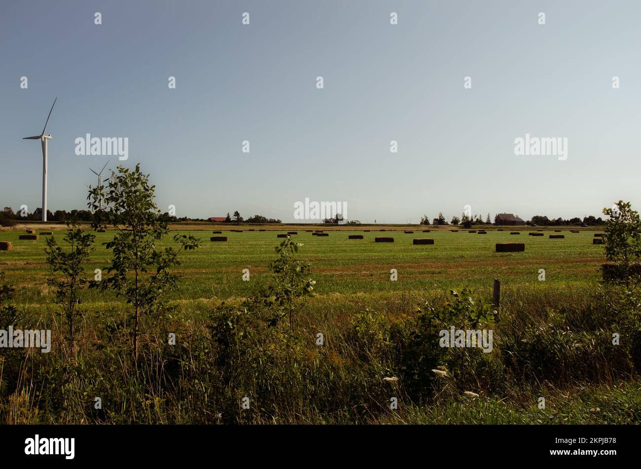 Windmills on a large farm Stock Photo - Alamy