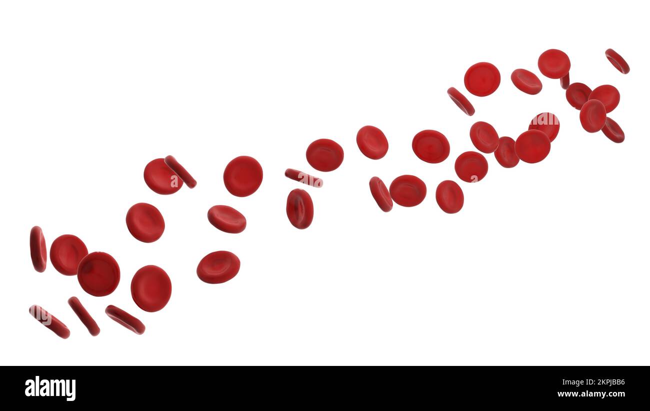 White blood cell microscope hi-res stock photography and images - Alamy