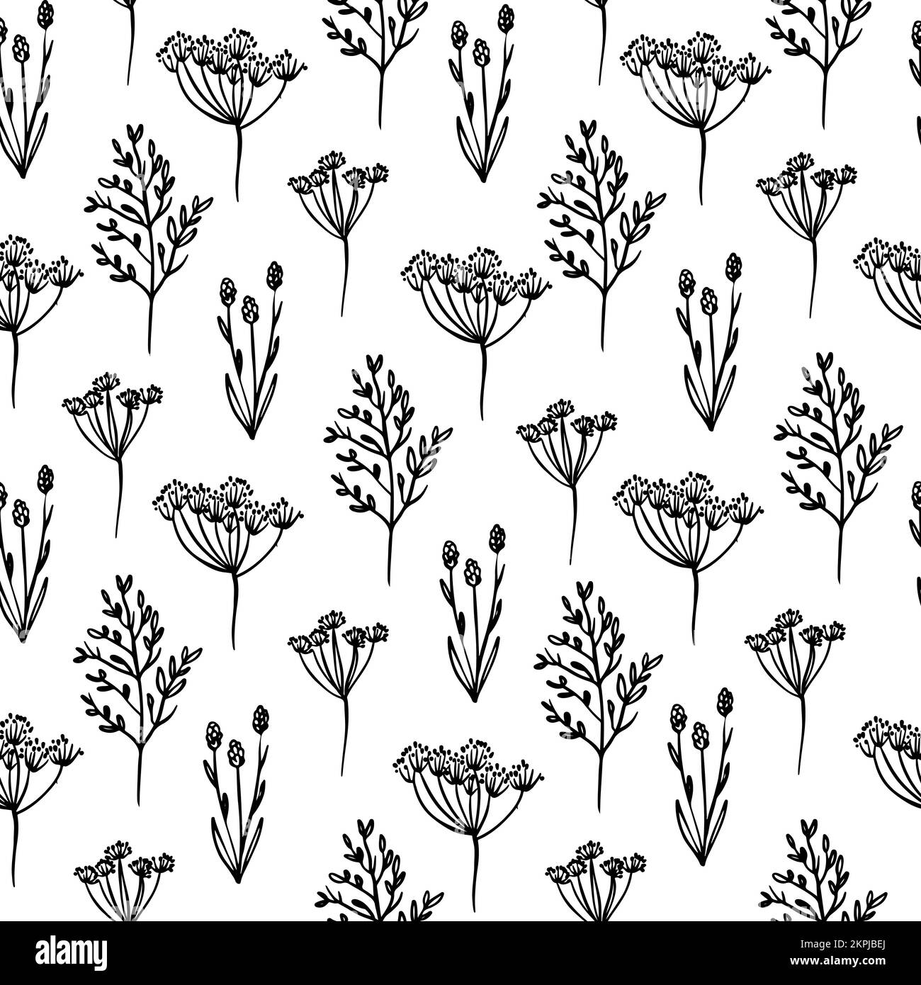 WILD FLOWERS Monochrome Floral Sketch With Abstract Plants On White ...