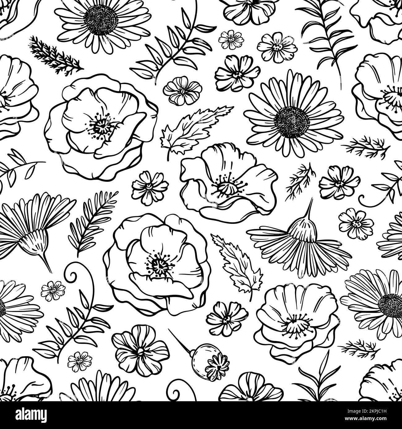 WILDFLOWER SKETCH MONOCHROME Floral Sketch With Poppy Camomile And ...