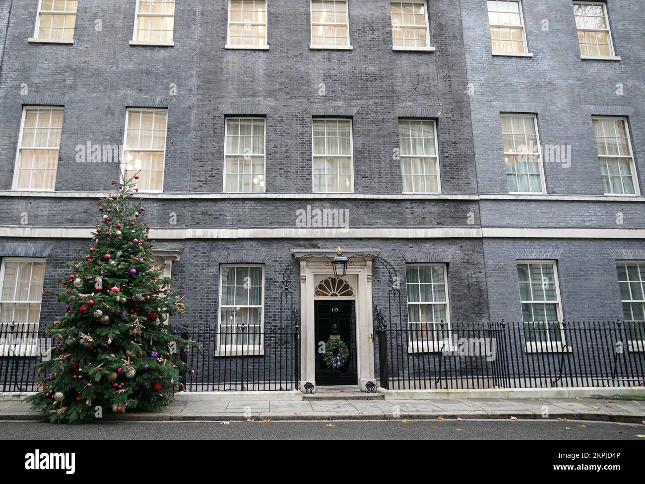 The Downing Street Christmas tree in London ahead of the lights being ...