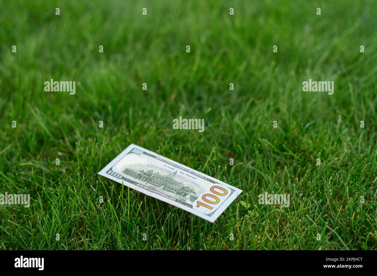 Tropical rain drops falling onto the surface of a swimming pool Stock ...