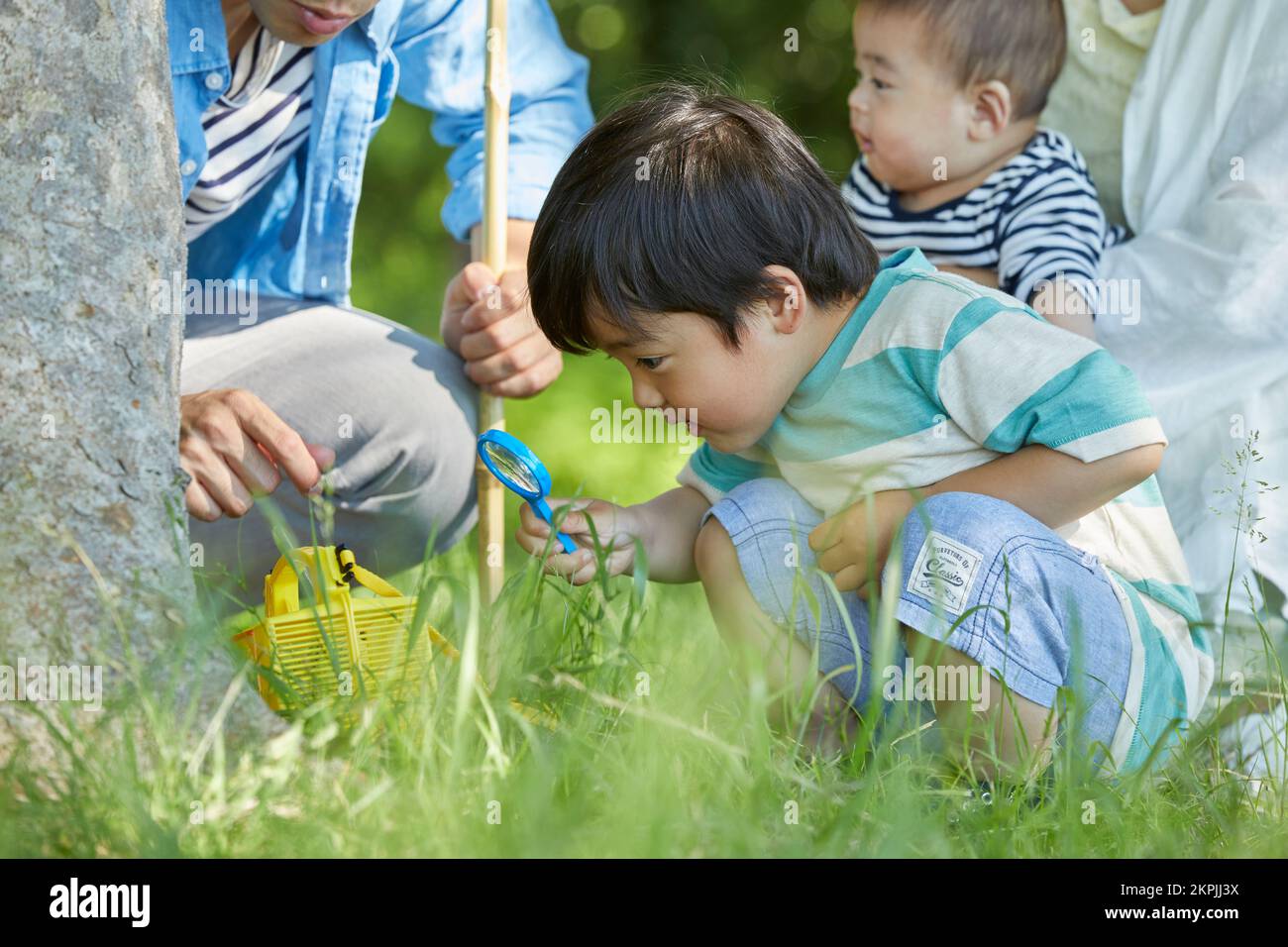 Japanese family collecting insects Stock Photo - Alamy