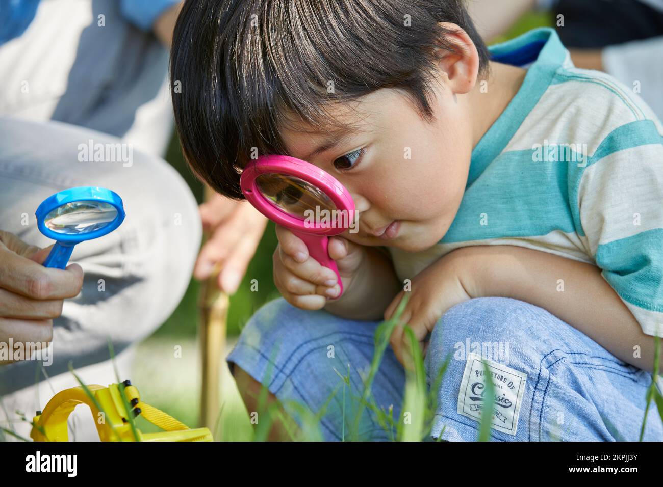 Japanese parent and child collecting insects Stock Photo - Alamy