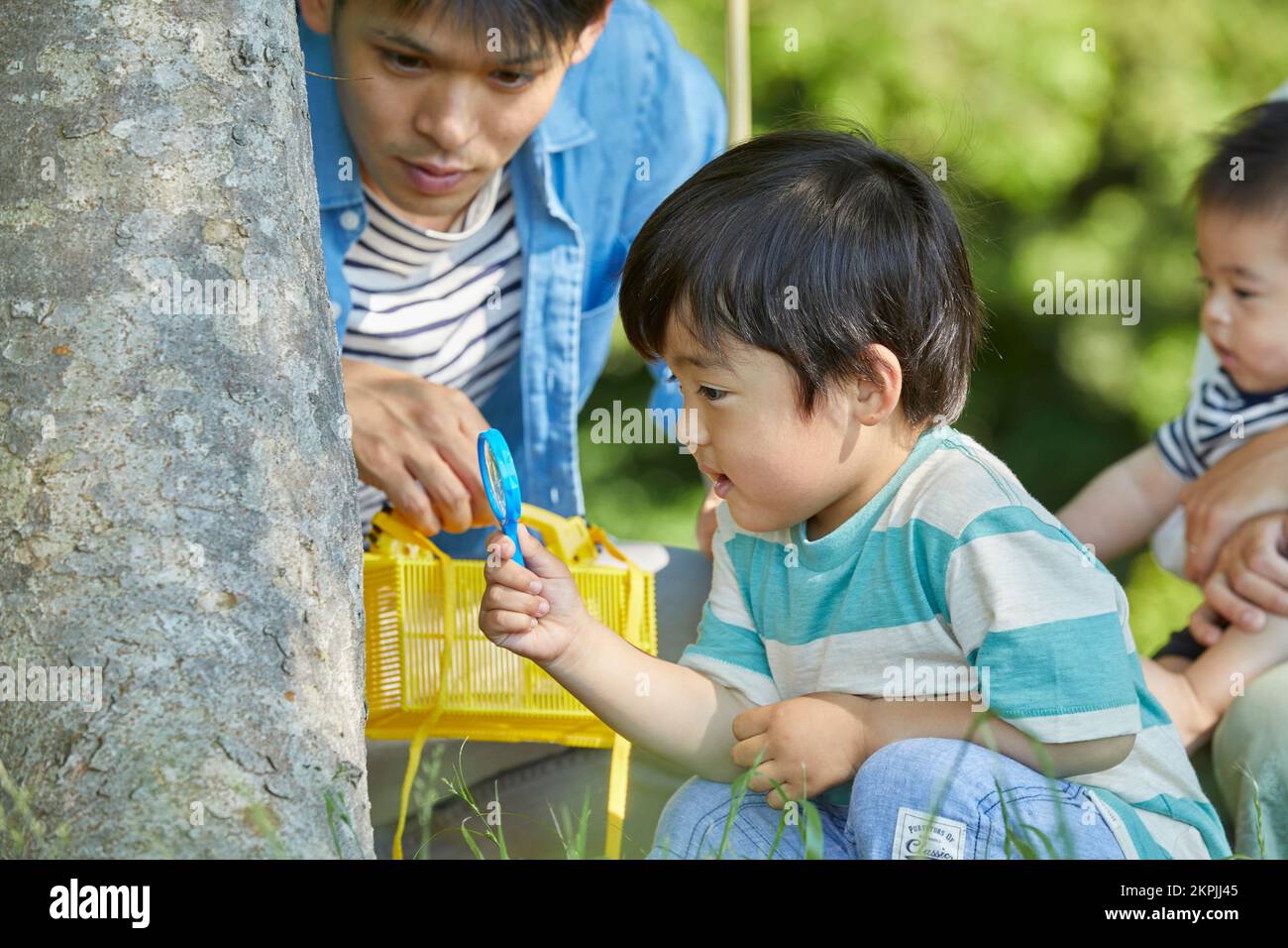 Japanese family collecting insects Stock Photo - Alamy
