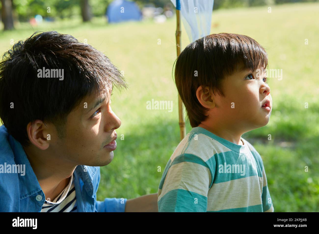 Japanese parent and child collecting insects Stock Photo - Alamy