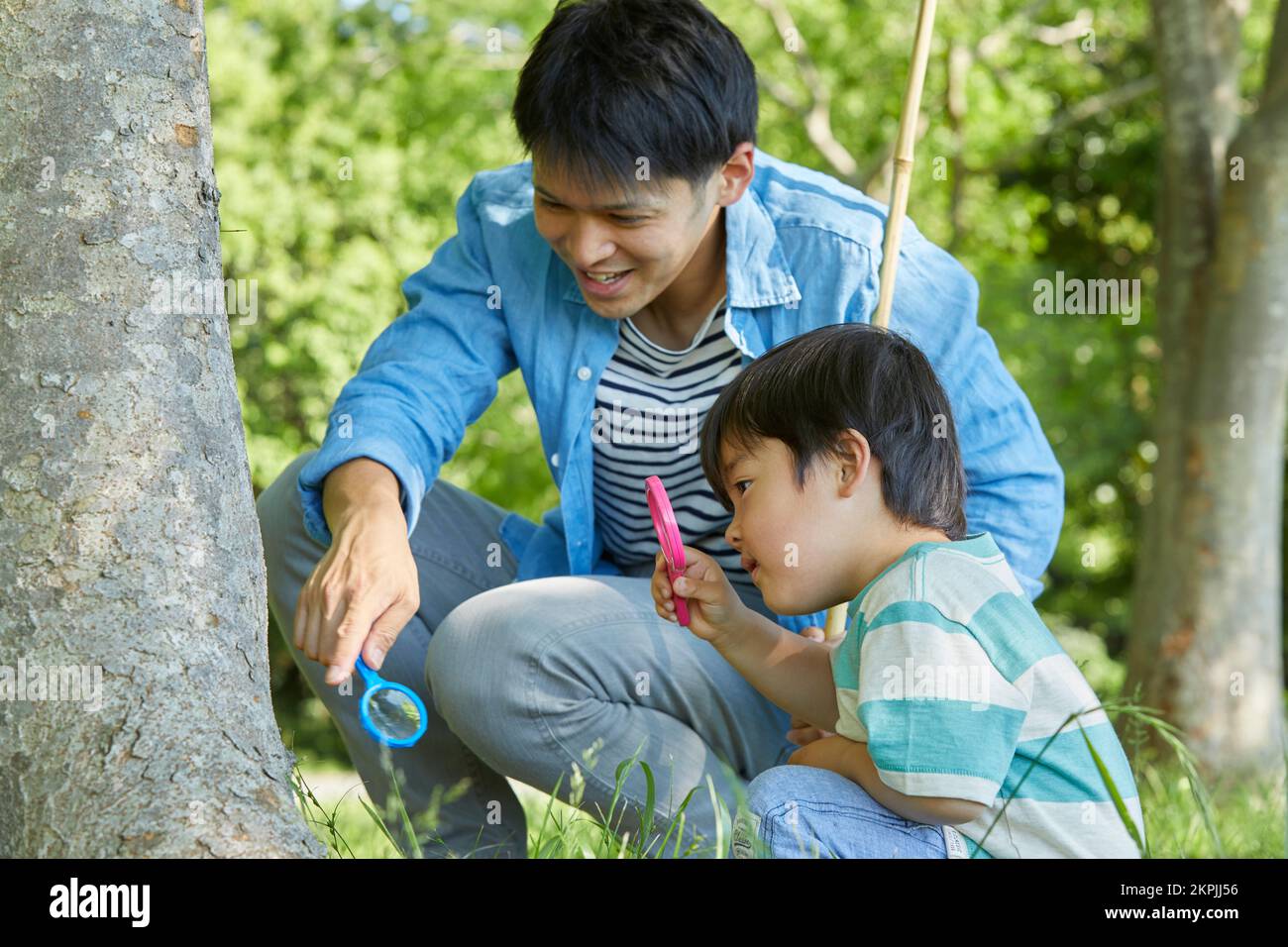 Japanese parent and child collecting insects Stock Photo - Alamy