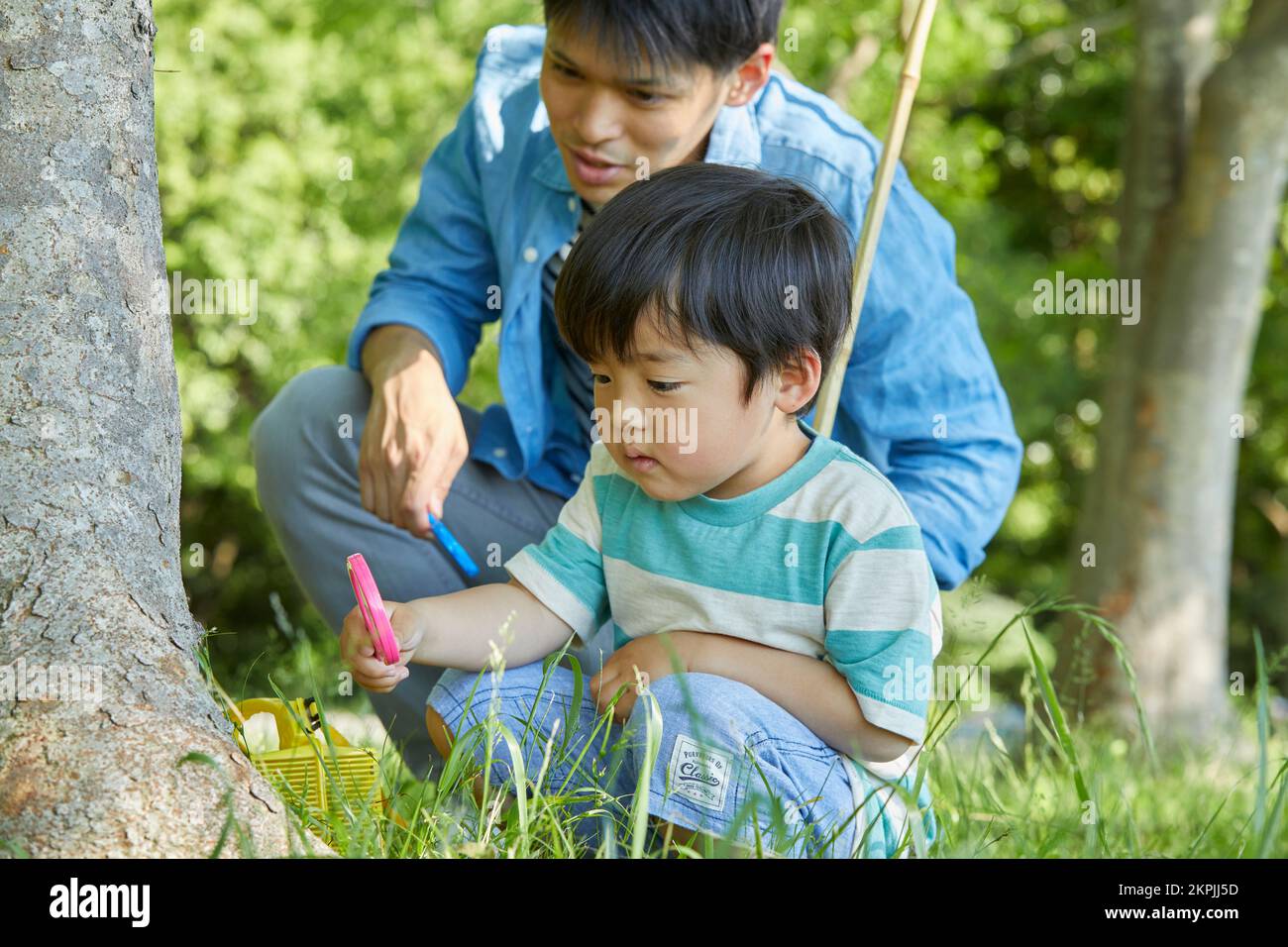 Japanese parent and child collecting insects Stock Photo - Alamy