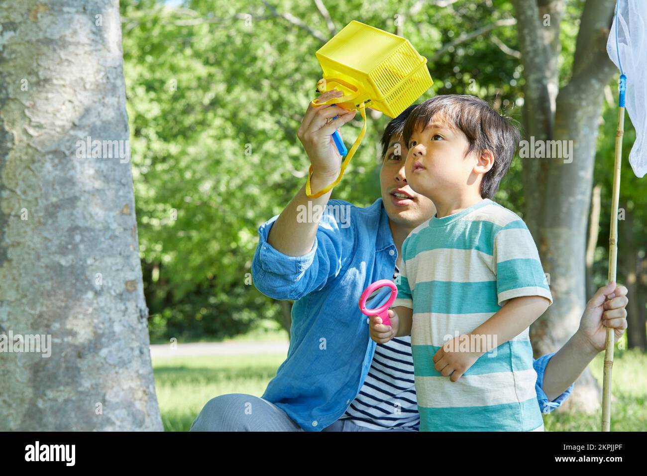 Japanese parent and child collecting insects Stock Photo - Alamy