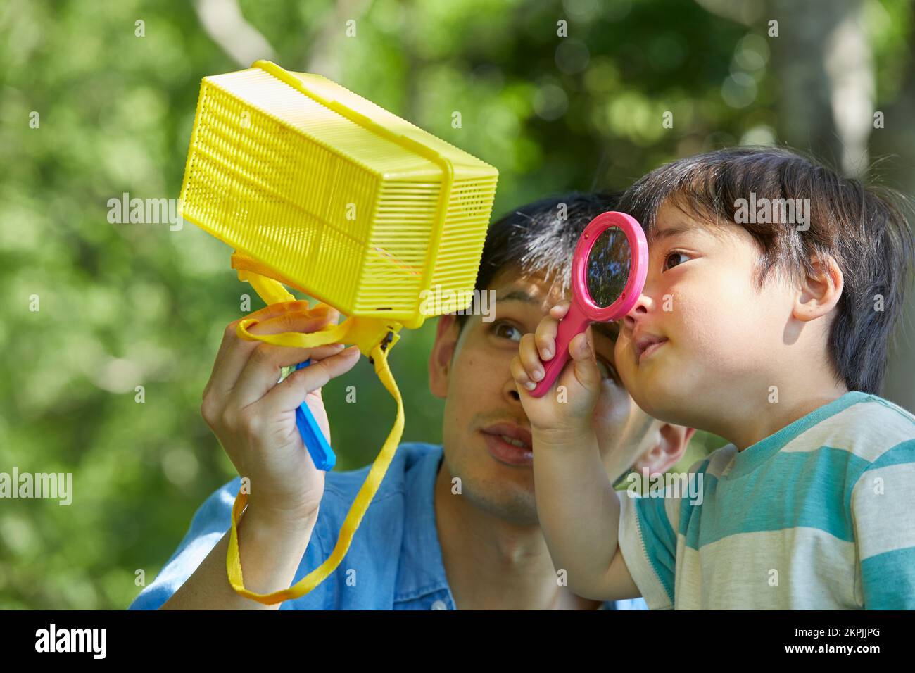 Japanese parent and child collecting insects Stock Photo - Alamy