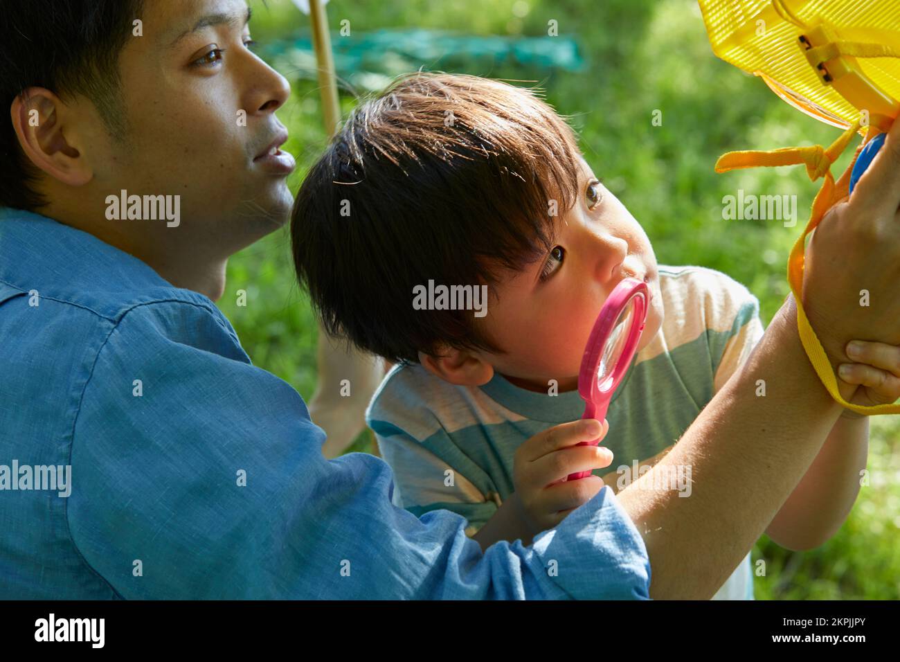 Japanese parent and child collecting insects Stock Photo - Alamy