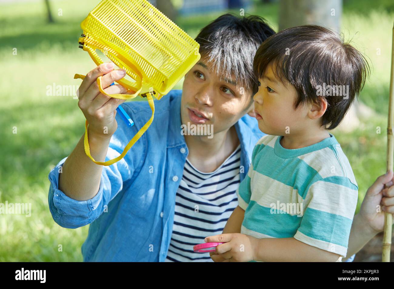 Japanese parent and child collecting insects Stock Photo - Alamy