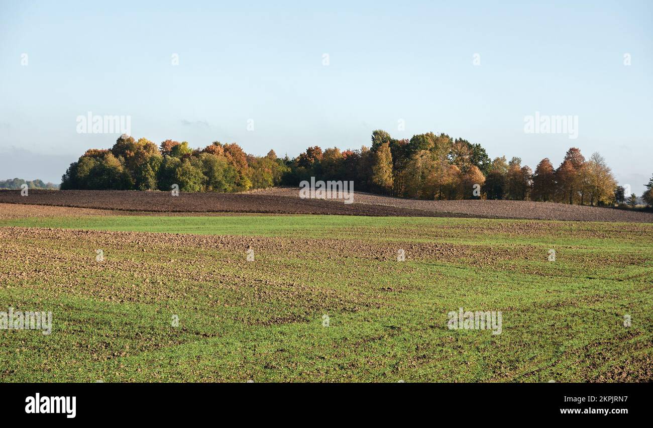 View of the countryside field Stock Photo - Alamy