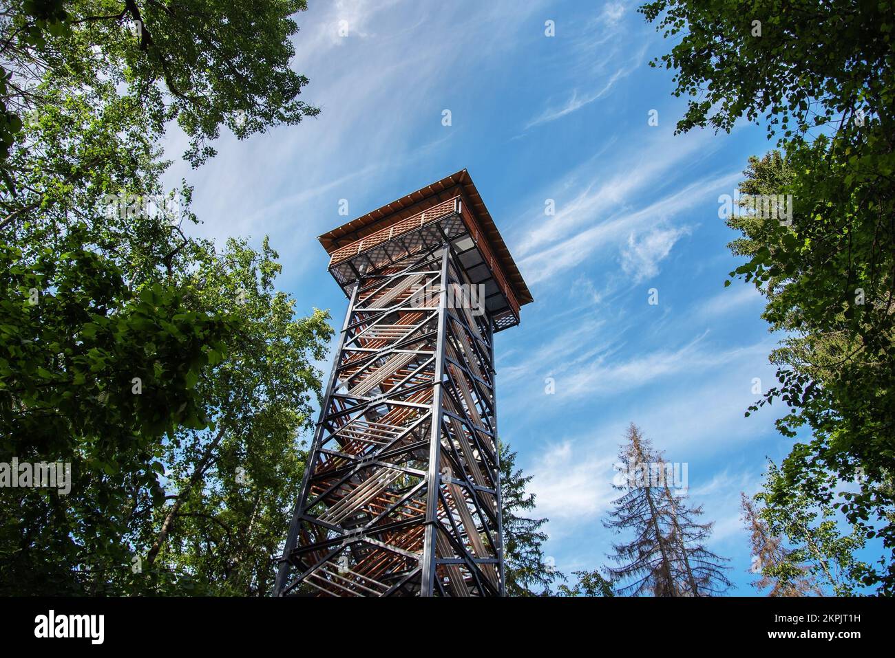 Metal tourist tower in the forest Stock Photo - Alamy