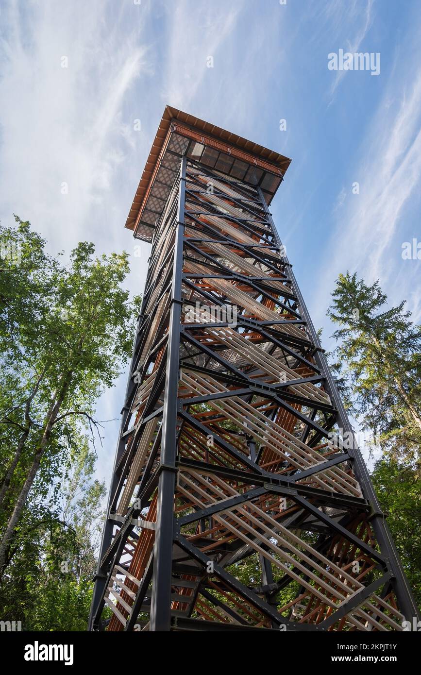 Metal tourist tower in the forest Stock Photo - Alamy