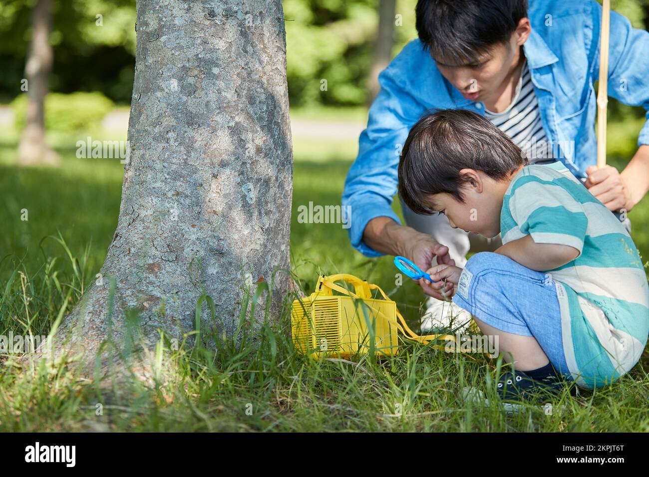 Japanese parent and child collecting insects Stock Photo - Alamy