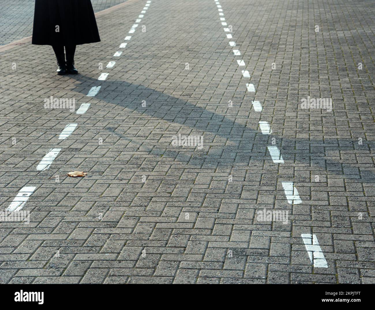 The cycle path is marked on the street Stock Photo - Alamy