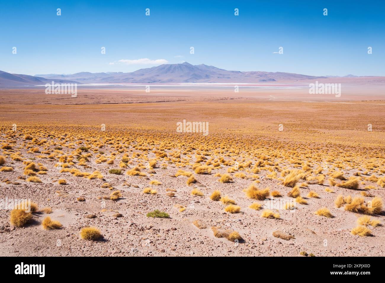 Bolivian High Plains landscape with the Laguna Colorada in the ...