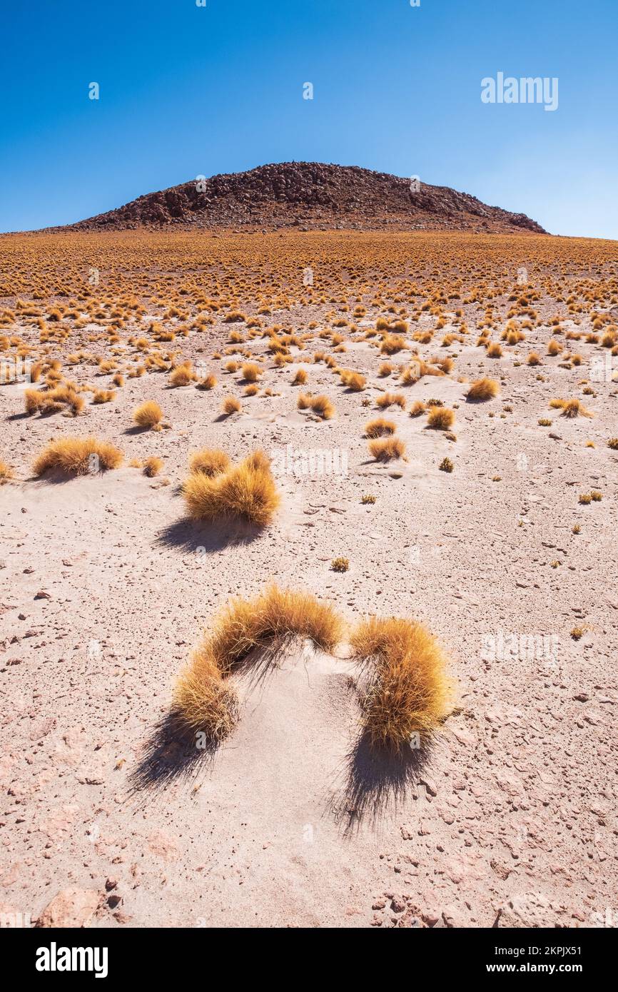 Bolivian High Plains landscape in Eduardo Avaroa Andean Fauna National ...