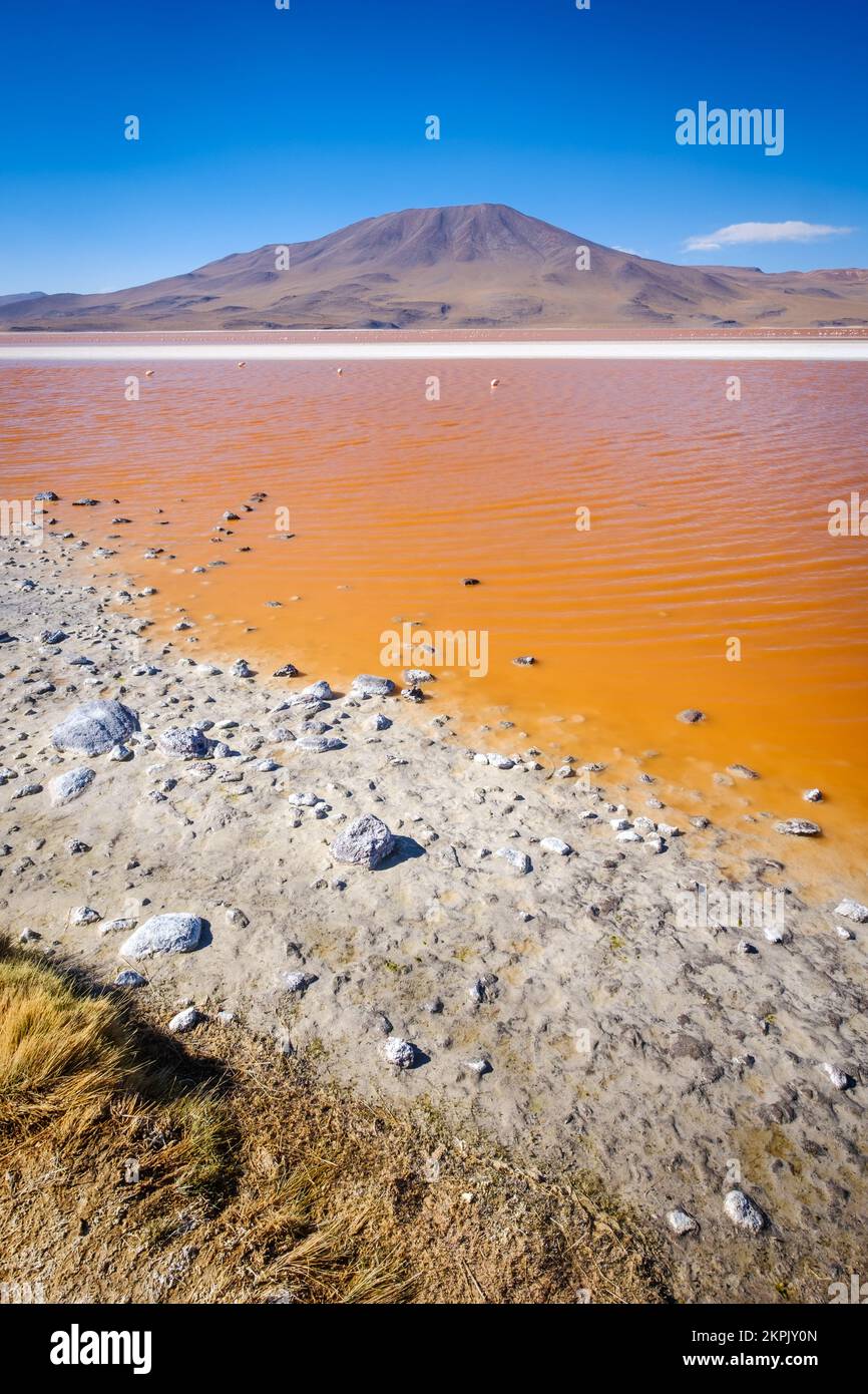 Laguna Colorada (Red Lagoon) in Eduardo Avaroa Andean Fauna National ...
