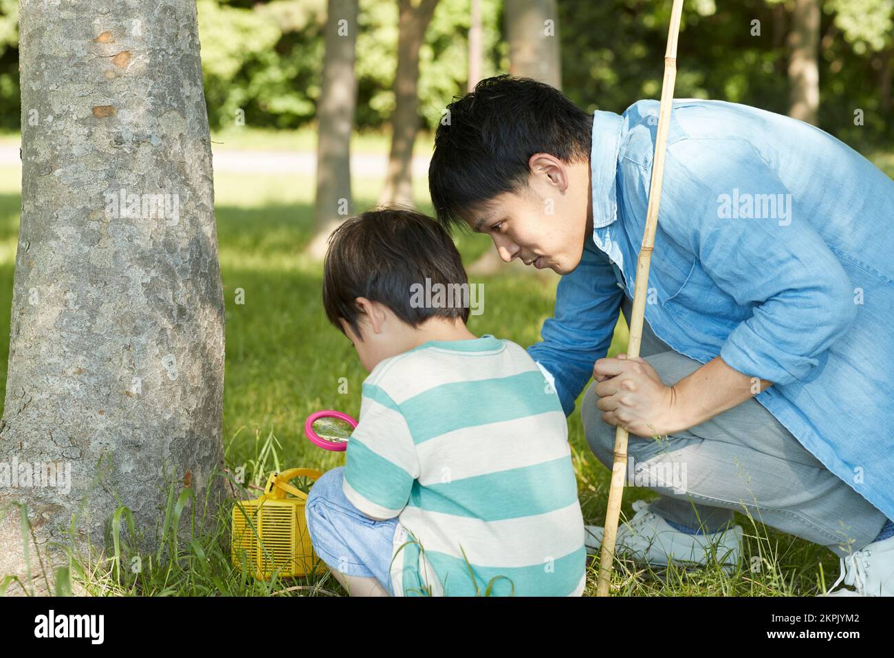 Japanese parent and child collecting insects Stock Photo - Alamy