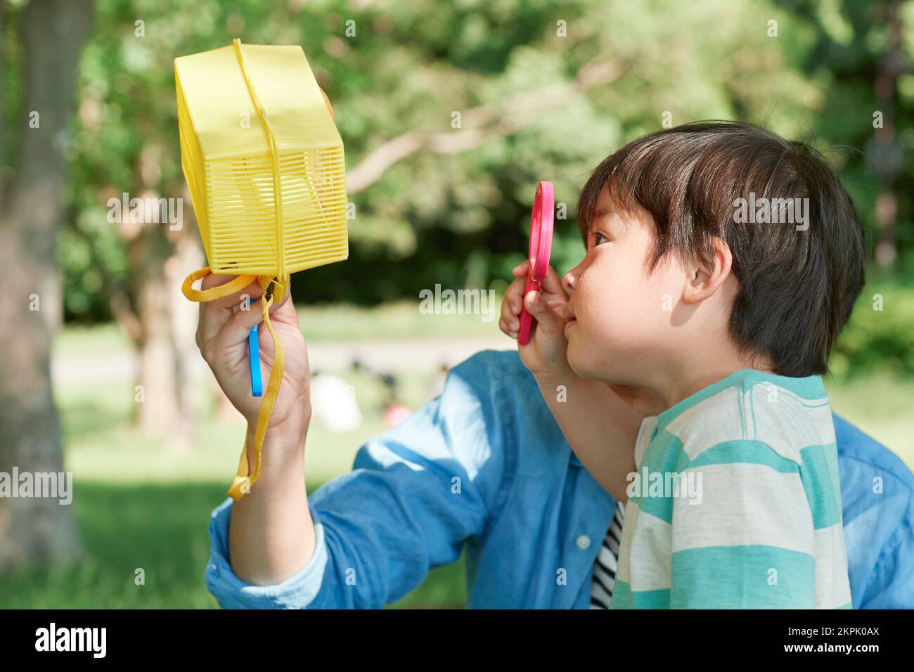 Japanese parent and child collecting insects Stock Photo - Alamy