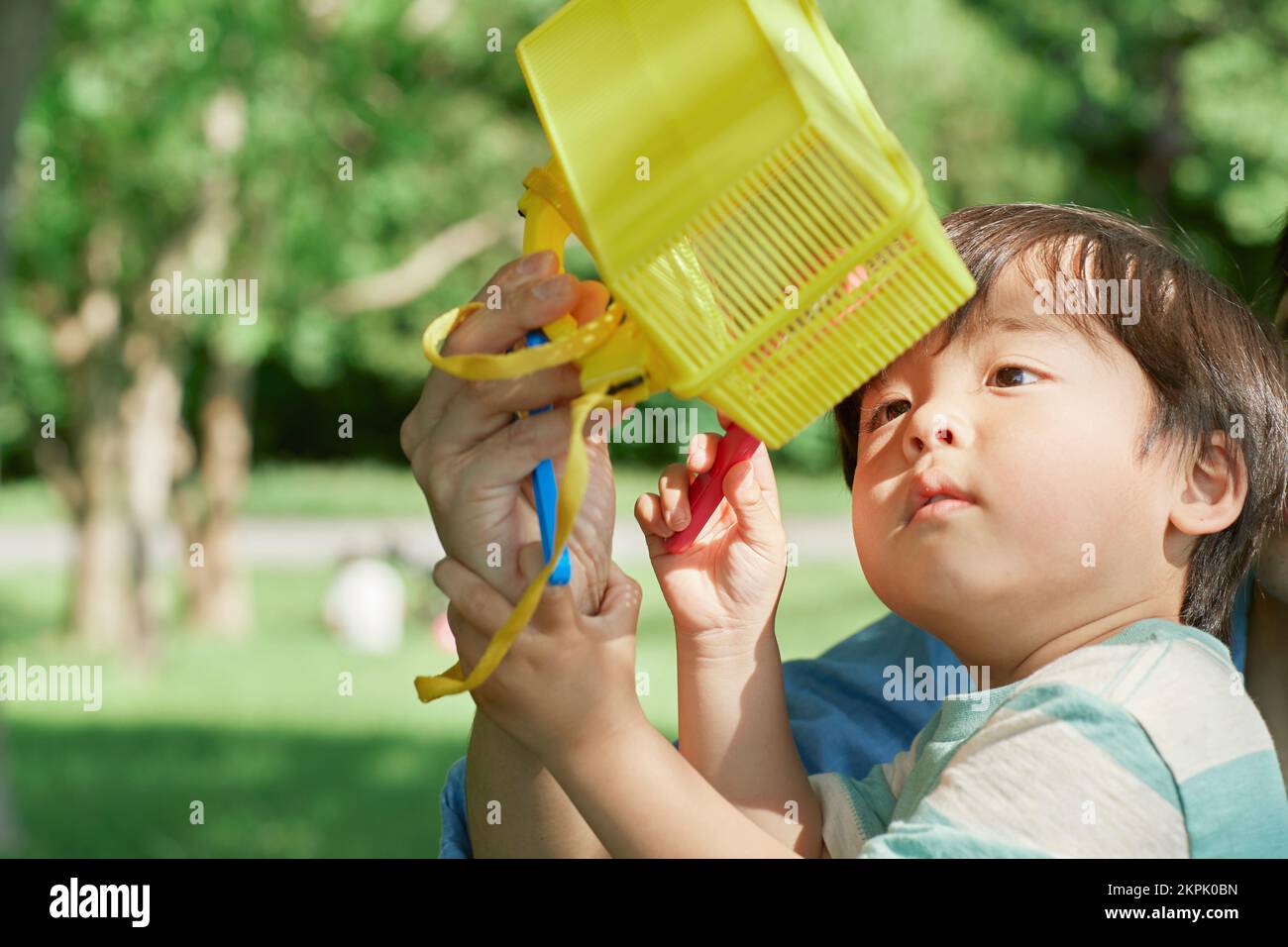 Japanese parent and child collecting insects Stock Photo - Alamy