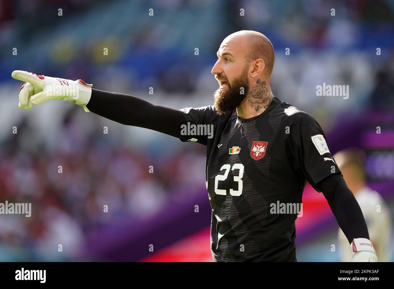 Serbia goalkeeper Vanja Milinkovic-Savic during the FIFA World Cup ...