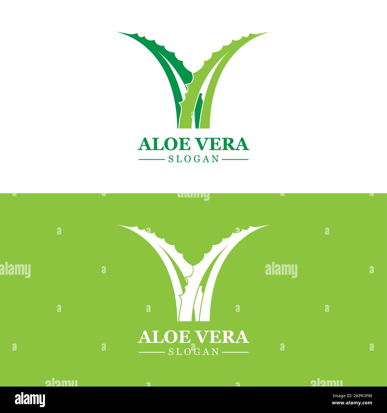 Aloe Vera Logo, Health Leaf Vector, Design Suitable For Beauty Salon ...