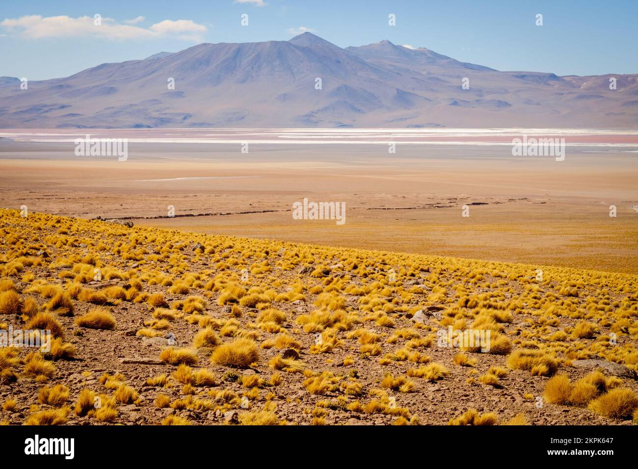 Bolivian High Plains landscape with the Laguna Colorada in the ...
