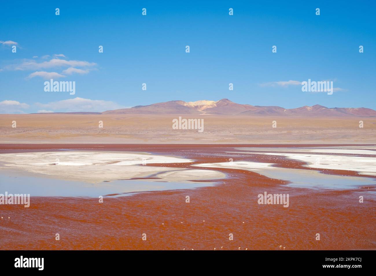 Laguna Colorada (Red Lagoon) in Eduardo Avaroa Andean Fauna National ...