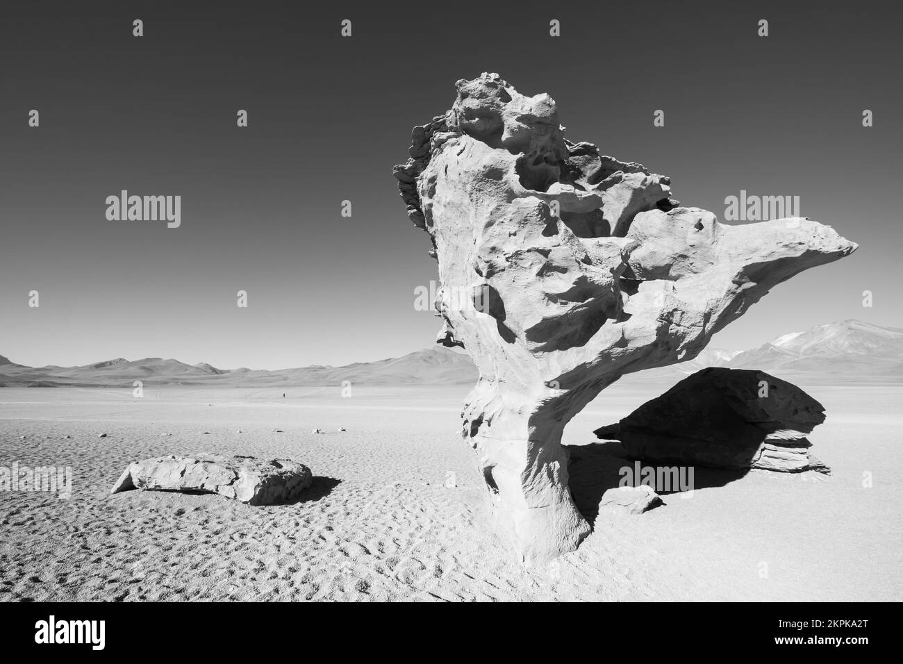 Árbol de Piedra or Rock Tree in the Altiplano or High Plains in blanck ...
