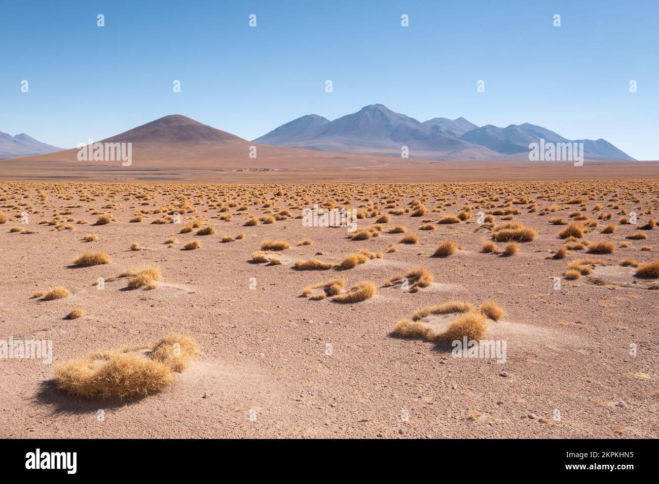 Desert of Siloli in the Altiplano or High Plains, Nor Lipez Province ...