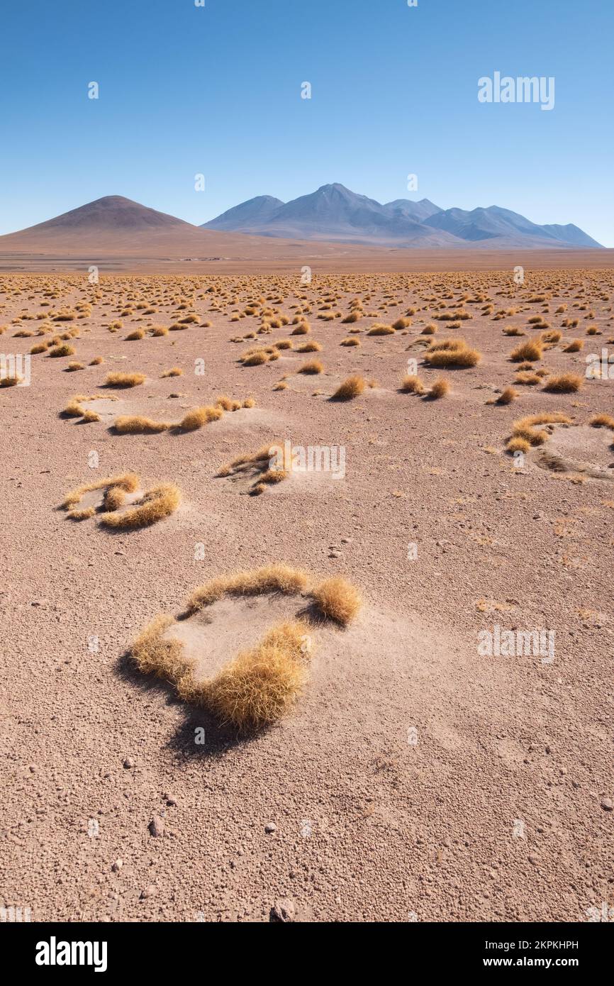 Desert of Siloli in the Altiplano or High Plains, Nor Lipez Province ...
