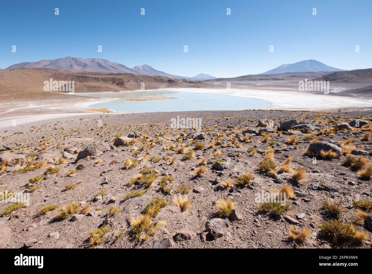 Laguna Honda in Nor Lipez, Potosi Department, Bolivia Stock Photo - Alamy