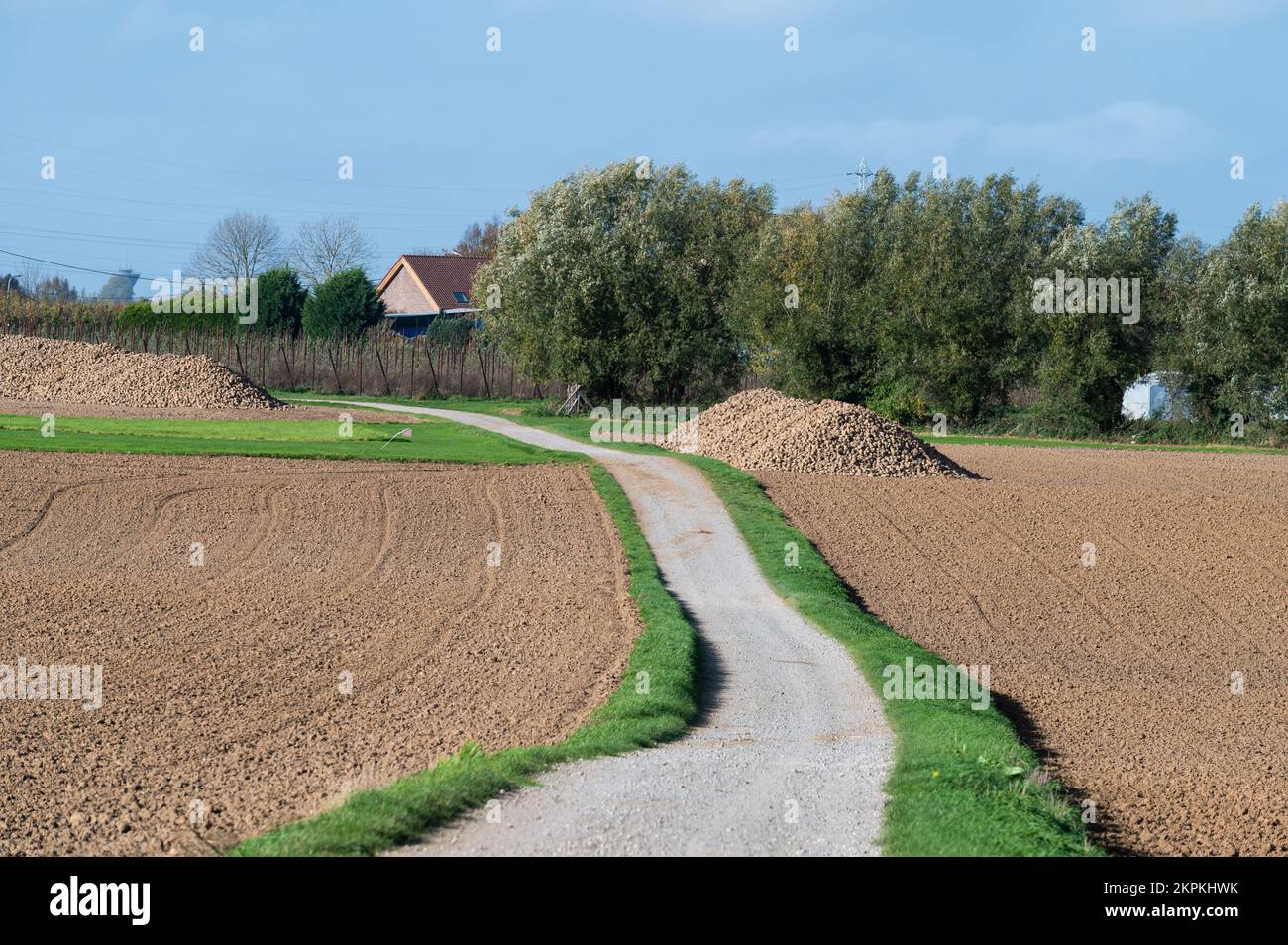 Biking trail through agriculture fields with brown soil, green crops ...