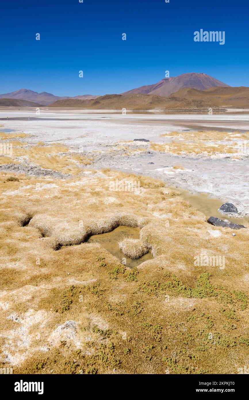 Northern hedionda lagoon hi-res stock photography and images - Alamy