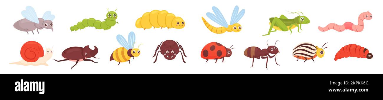 Cartoon colorful funny insect characters isolated on white. Cute ...