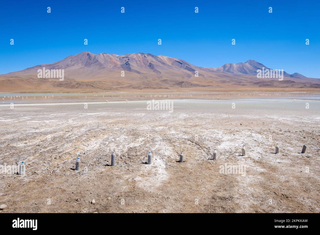 Laguna Hedionda (North) in Nor Lipez, Potosi Department, Bolivia Stock ...