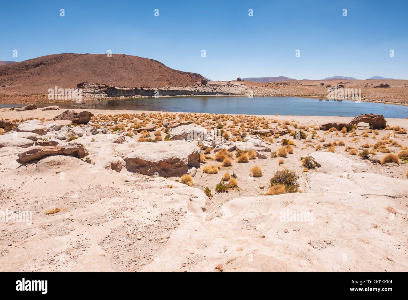 Laguna Negra (Black Lagoon or Lake) in Nor Lipez Province, Potosi ...