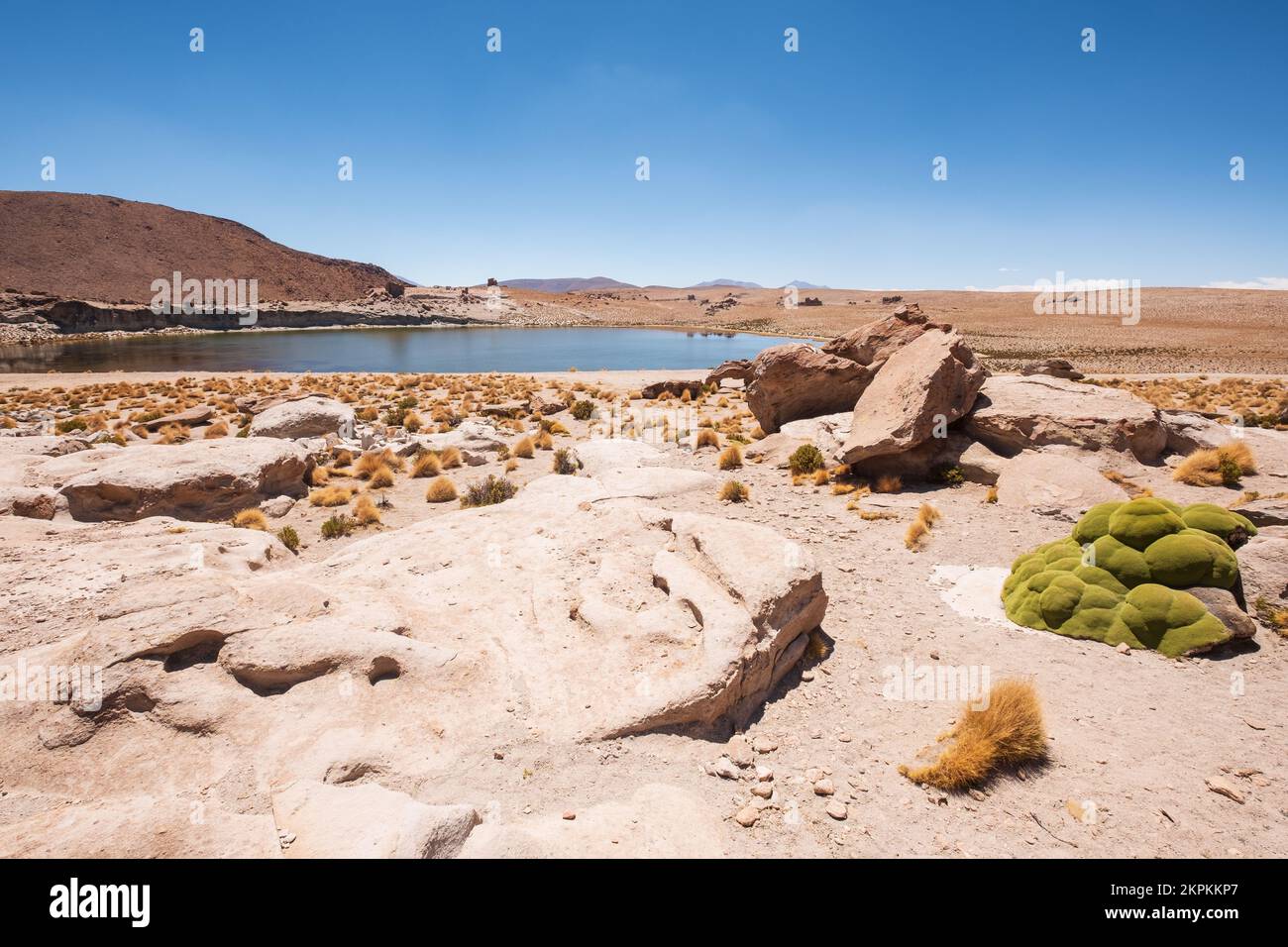 Laguna Negra (Black Lagoon or Lake) in Nor Lipez Province, Potosi ...