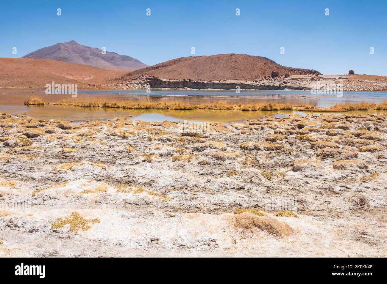 Laguna Negra (Black Lagoon or Lake) in Nor Lipez Province, Potosi ...