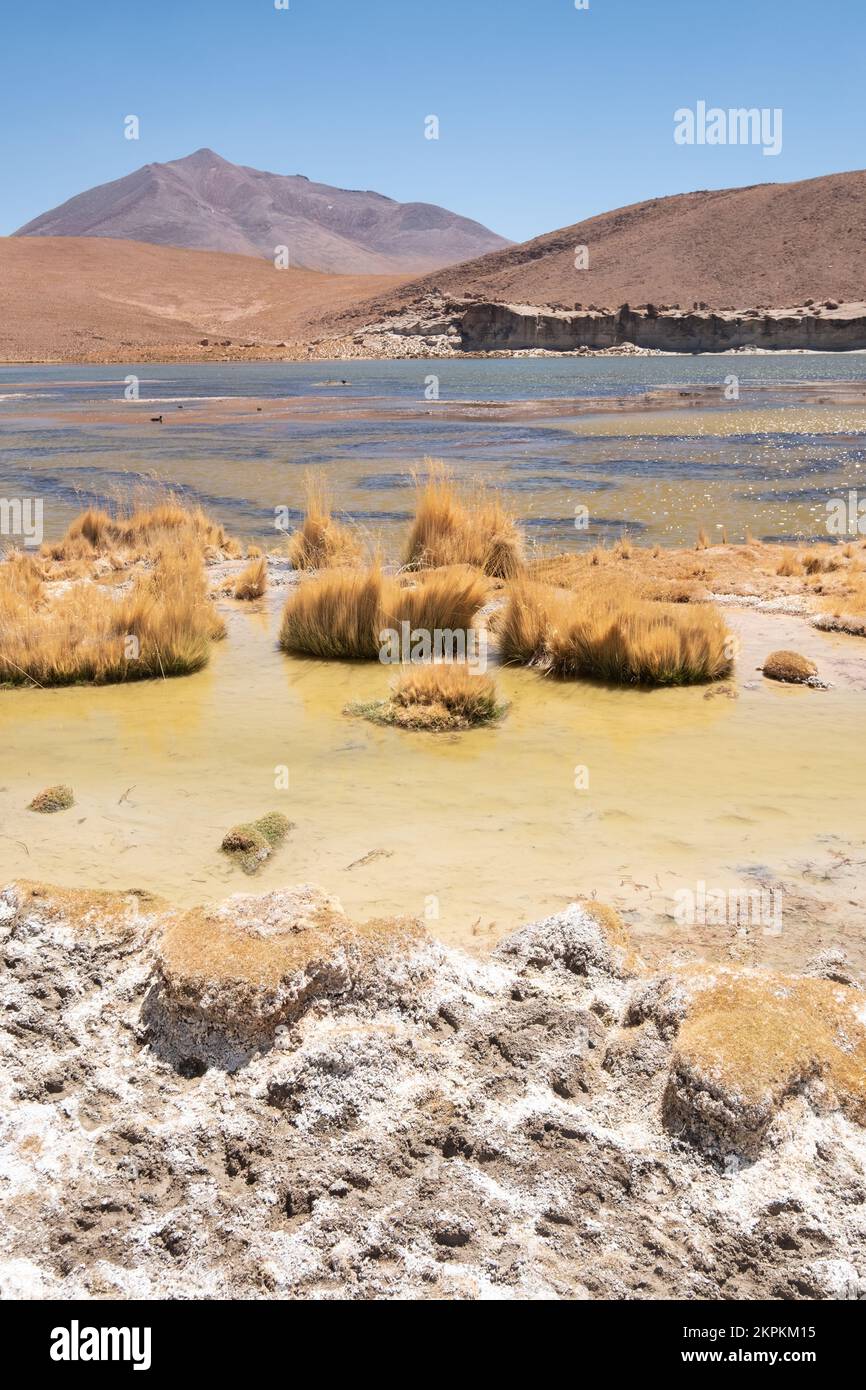 Laguna Negra (Black Lagoon or Lake) in Nor Lipez Province, Potosi ...