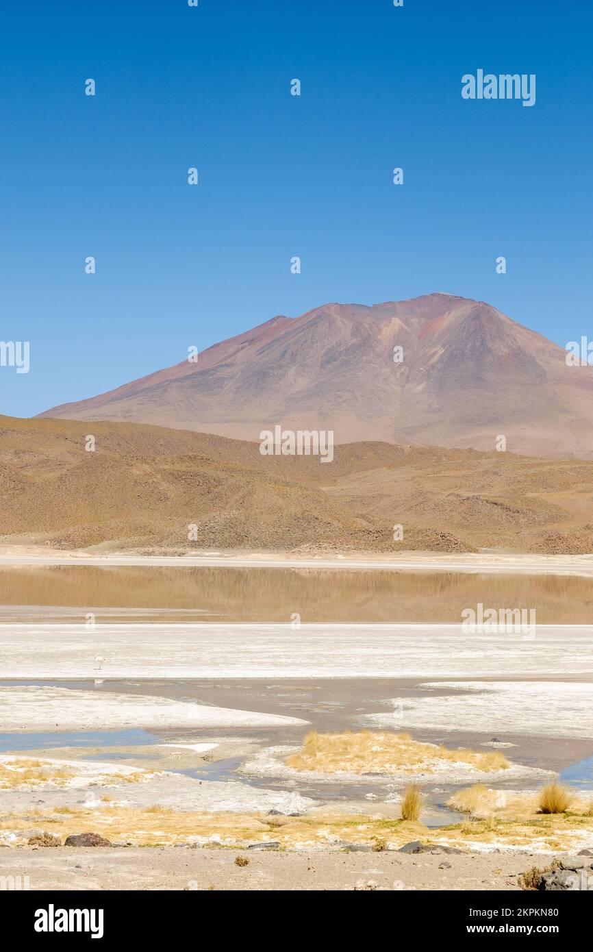 Laguna Hedionda (North) in Nor Lipez, Potosi Department, Bolivia Stock ...