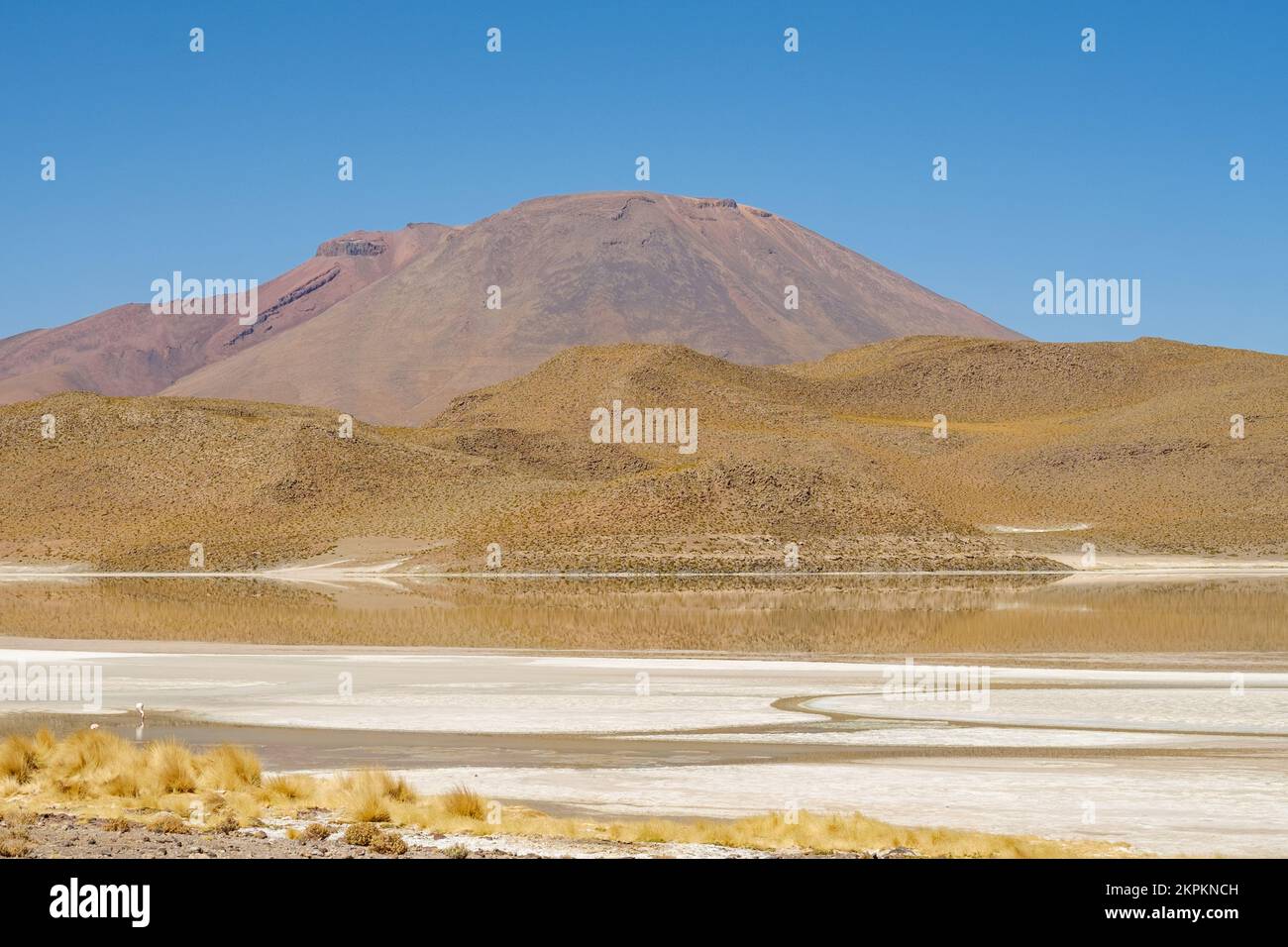 Laguna Hedionda (North) in Nor Lipez, Potosi Department, Bolivia Stock ...