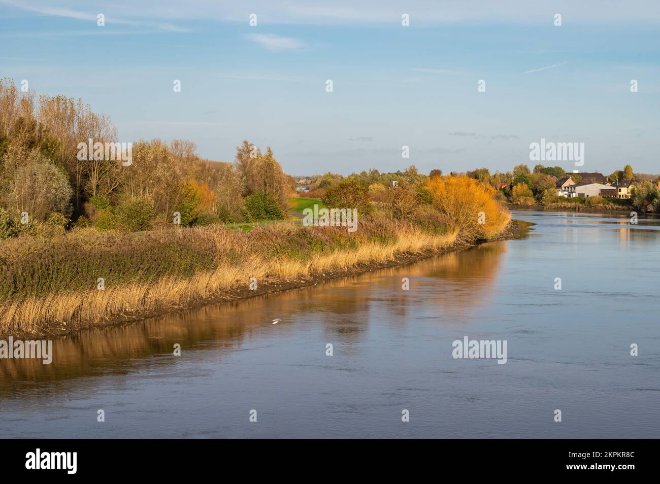 Scheldt forest hi-res stock photography and images - Alamy